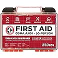 Amazon.com: Be Smart Get Prepared First Aid Kit, 250 Piece. Exceeds OSHA ANSI Standards for ...
