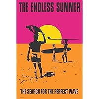 Amazon.com: Classic Endless Summer 36x24 Movie Art Print Poster Wall ...