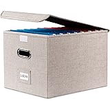 Amazon.com : Prandom File Organizer Box - Set of 1 Collapsible ...