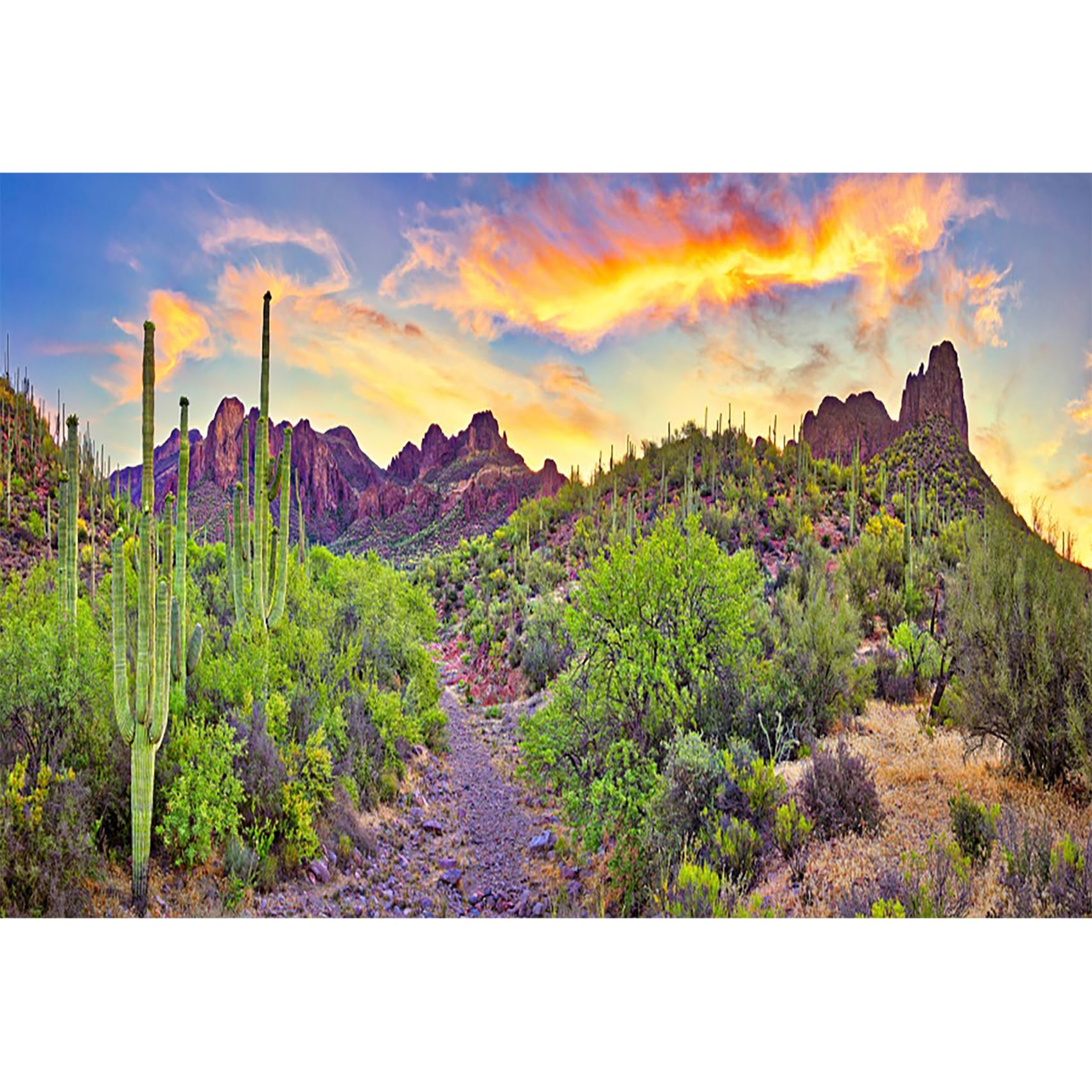 AOFOTO 7x5ft Desert Cactus Backdrop Party Decorations Arizona Rock ...