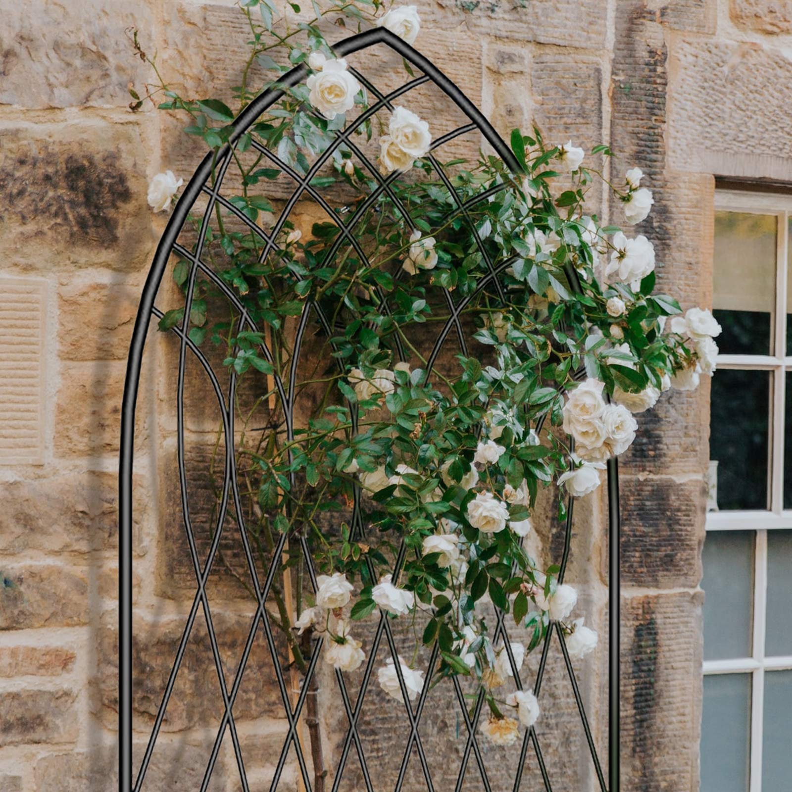 Amagabeli 2 Pack Large Garden Trellis for Climbing Plants 75” x 31” Heavy Duty Rustproof Black ...