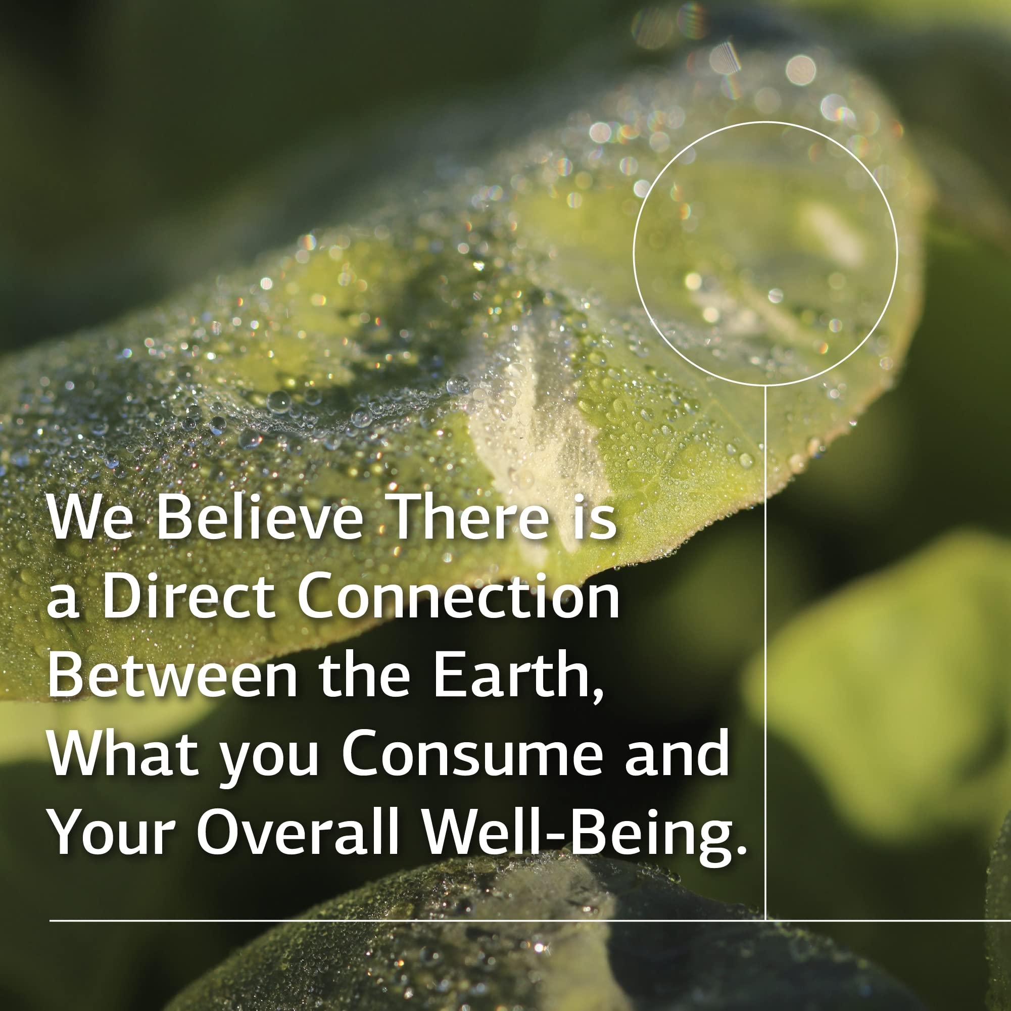 Mua Standard Process A-F Betafood - Gluten-Free Liver Support ...