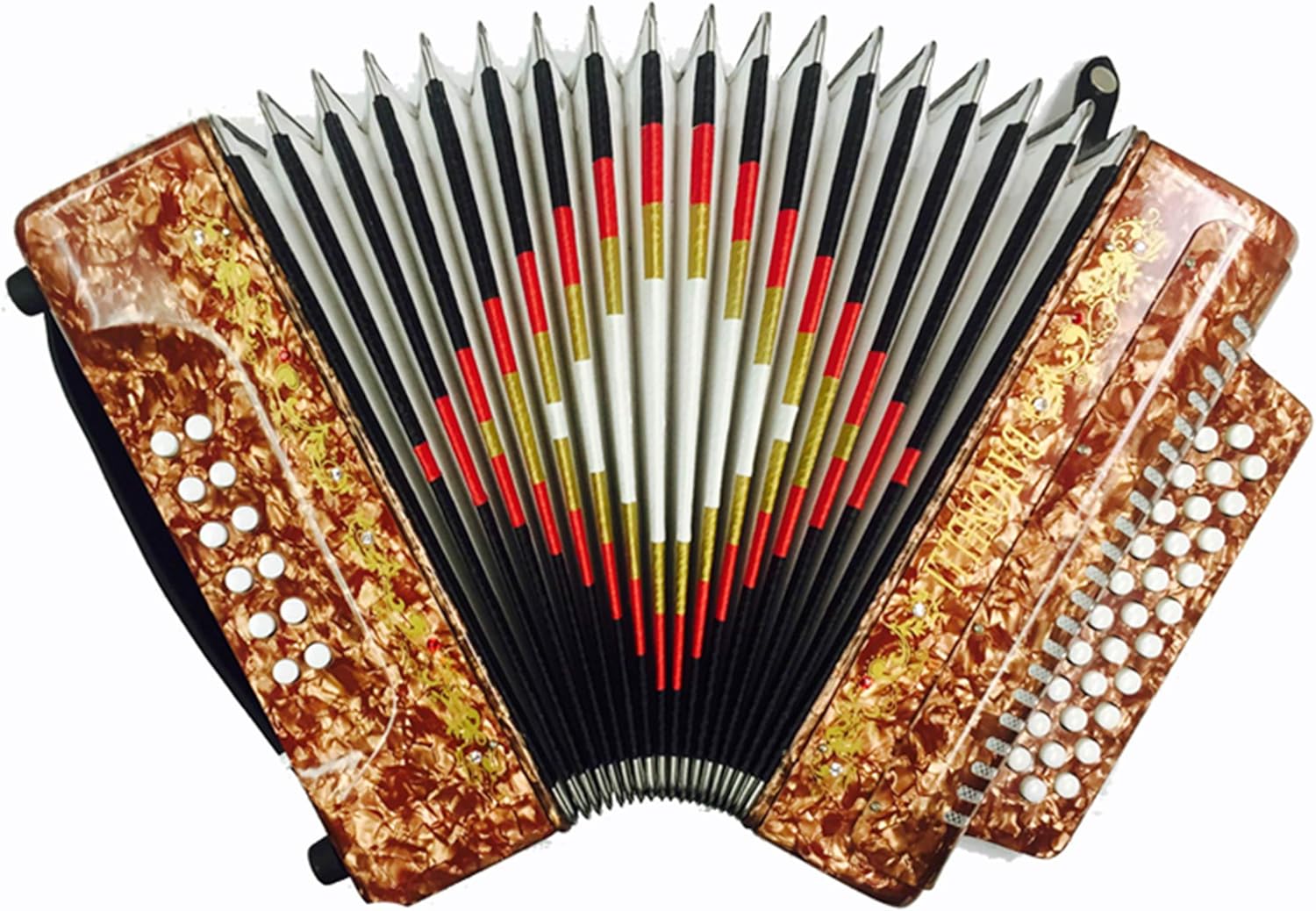 Amazon.com: Baronelli Accordion (AC3112G-GD): Musical Instruments