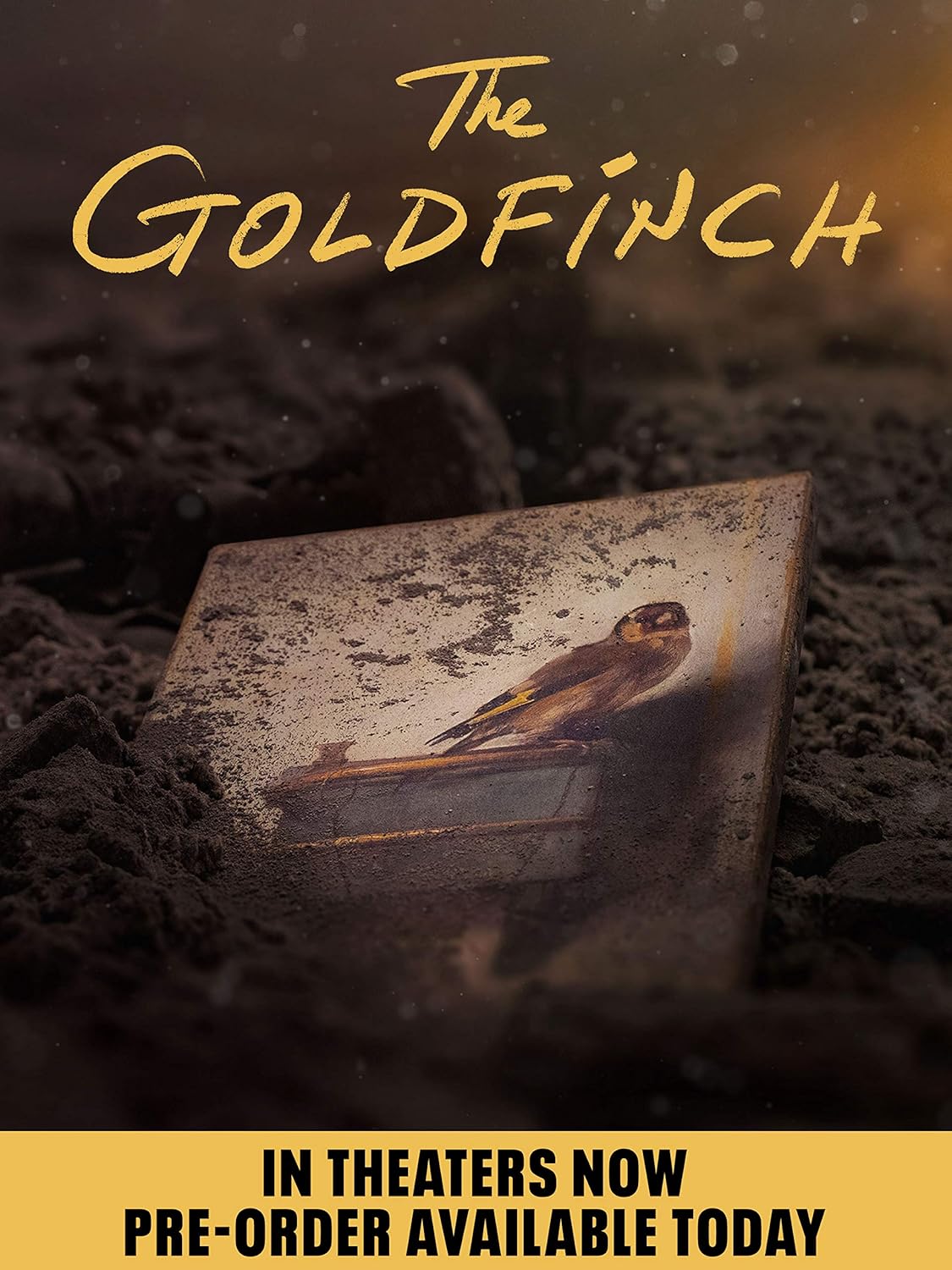 Amazon.com: The Goldfinch (Blu-Ray + DVD + Digital Combo Pack): Movies & TV