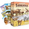 Amazon.com: Ecosystem: Savanna - A Family Card Game About Animals on ...