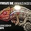 Amazon.com: Intricate Ink: Animals in Detail Coloring Book ...
