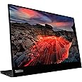 Amazon.com: Lenovo ThinkVision M14t Gen2 14-inch Monitor : Electronics