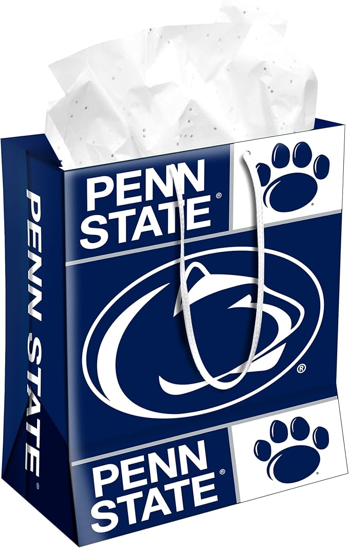 Amazon.com : NCAA Penn State Nittany Lions Team Gift Bag : Sports Fan ...