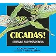 Cicadas!: Strange and Wonderful: Pringle, Laurence, Henderson, Meryl ...