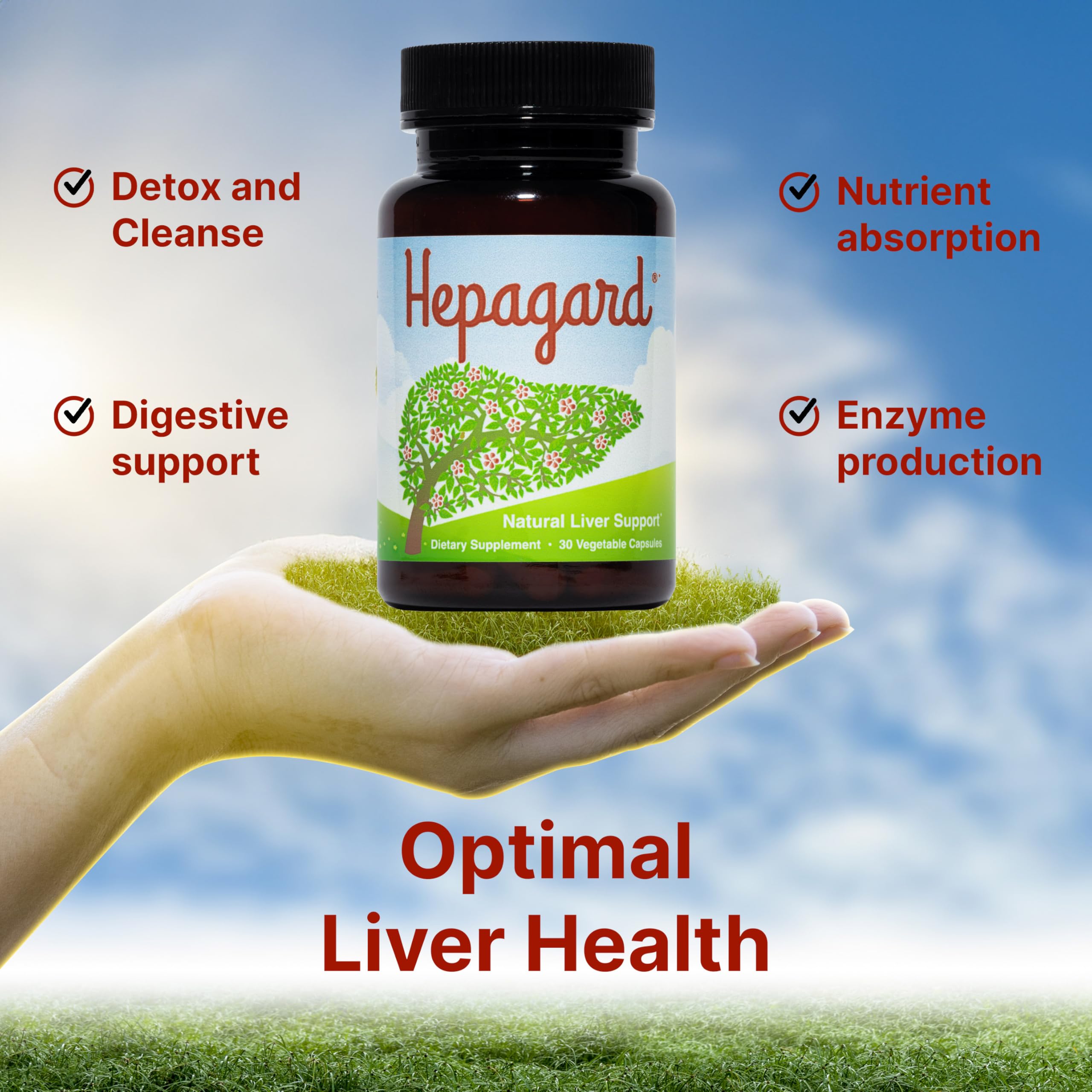 Mua Hepagard - Natural Liver Support Supplement Capsule with N-Acetyl ...