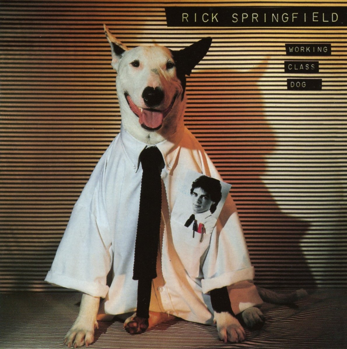 Working Class Dog + 3: Rick Springfield: Amazon.fr: Musique