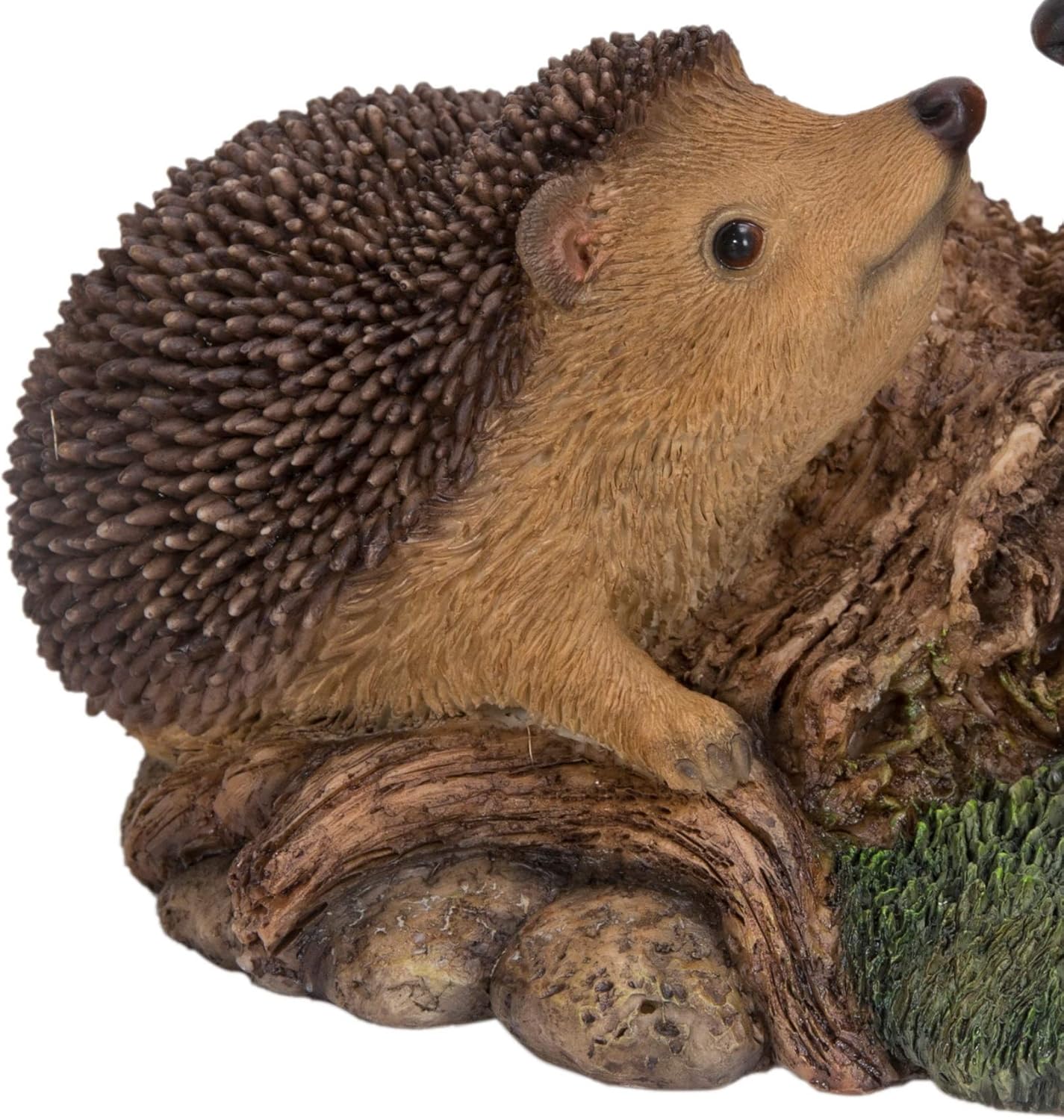 Vivid Arts | Playful Baby Hedgehogs | Resin Home or Garden Decoration ...