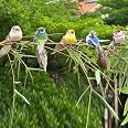 Amazon.com: FBIRDY 5 Pieces Artificial Birds Faux Birds Colorful Fake ...