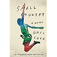 Small Country: A Novel: Faye, Gaël: 9781524759872: Amazon.com: Books