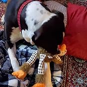 Pet Supplies : EXPAWLORER Tough Plush Dog Toys Squeaky for Medium to ...