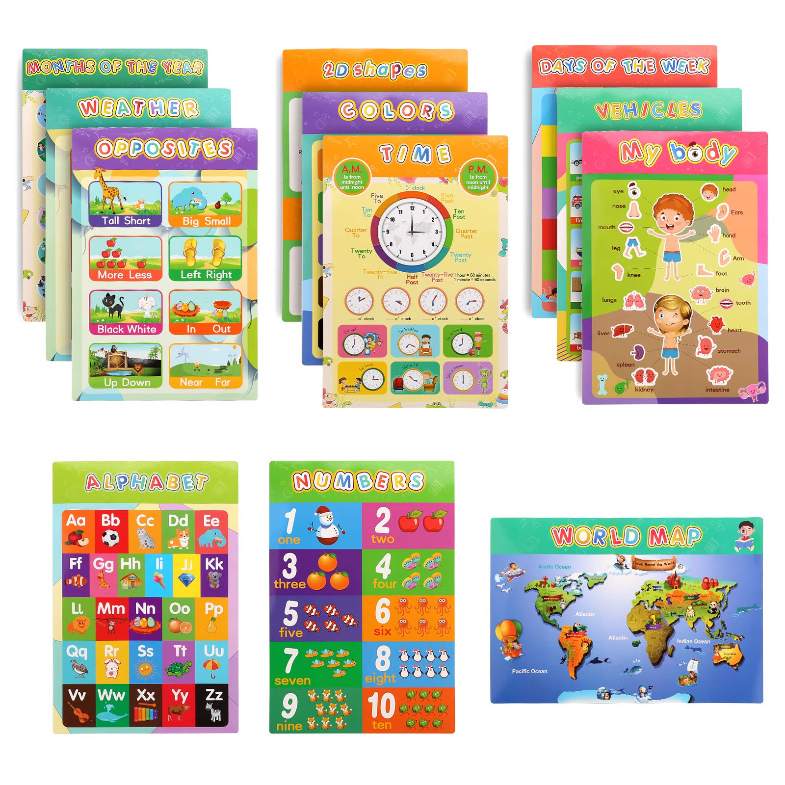 Buy TOYMIS 12Pcs Educational Preschool Chart Classroom Decorations ...