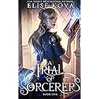 Amazon.com: A Queen of Ice (A Trial of Sorcerers Book 5) eBook : Kova, Elise: Kindle Store