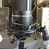 MXL 770 Small Diaphragm Condenser Microphone: Amazon.co.uk: Musical ...