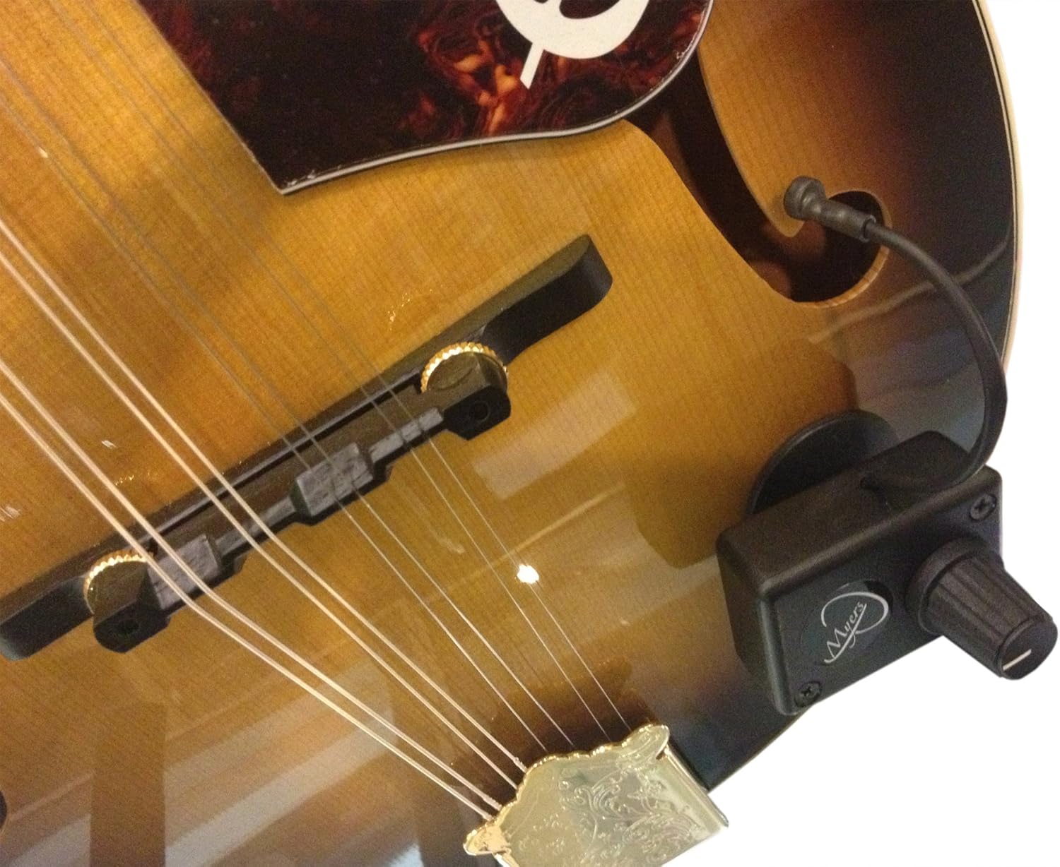 Mandolin Pickup by Myers Pickups - BigaMart