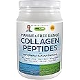 Amazon.com: ANDREW LESSMAN Marine & Free Range Collagen Peptides Powder ...