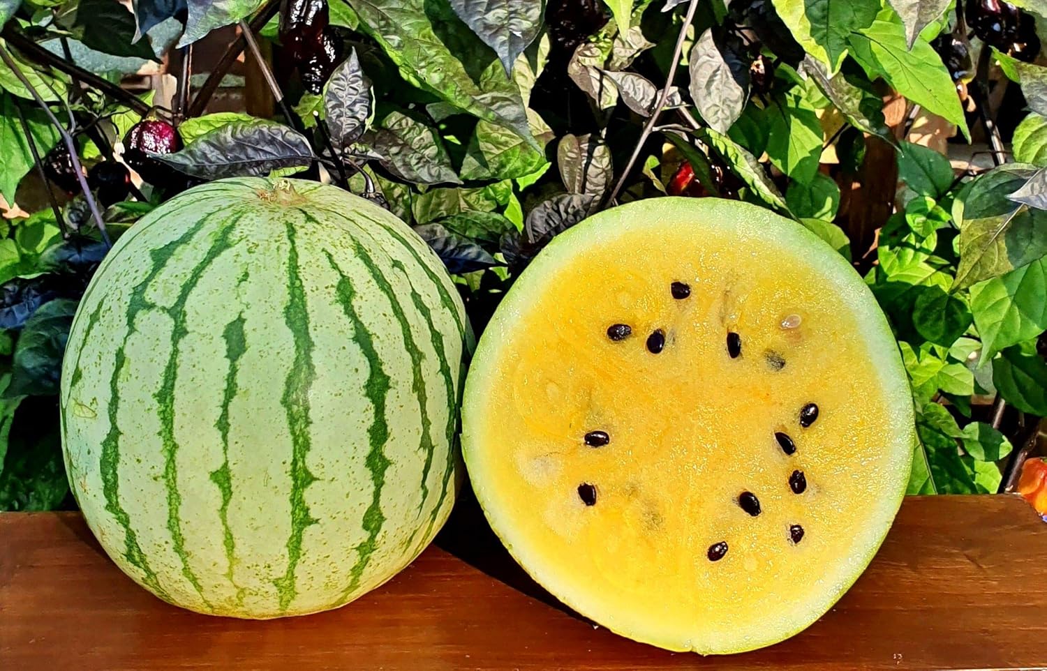 Rare Yellow Watermelon Seeds Fruit Vegetables Organic Plant – BigaMart