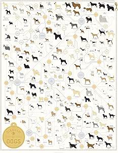 Amazon.com: Pop Chart: Poster Prints (16x20) - Dog Infographic ...