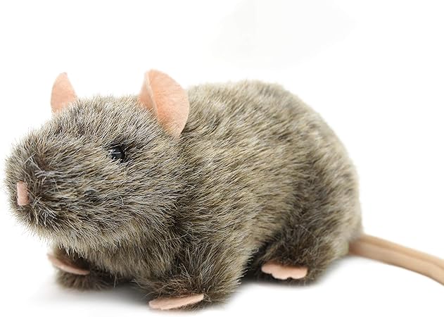 Amazon.com: Reuben The Rat - 7 Inch Stuffed Animal Plush Mouse - by ...