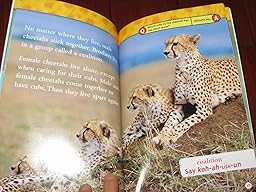 Amazon.com: National Geographic Readers: Cheetahs (8601200553413 ...