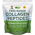 Amazon.com: ANDREW LESSMAN Free Range Collagen Peptides Powder 240 ...