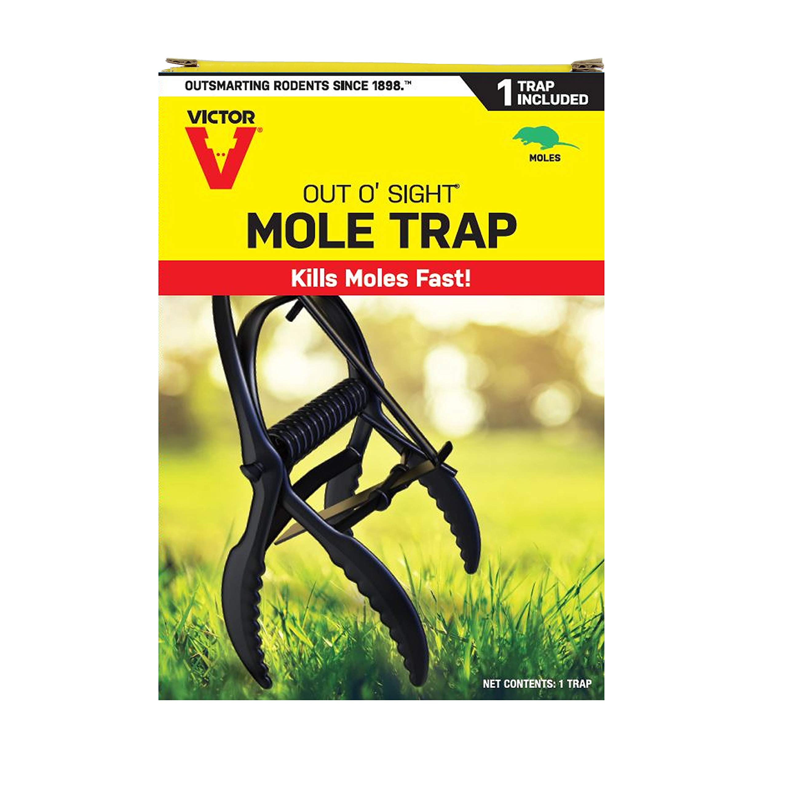 Mua Victor 0631 Out O'Sight Reusable Humane Mole Eliminator Trap and ...