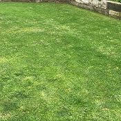 Flymo Chevron 32V Electric Wheeled Lawn Mower, 1200 W, Cutting Width 32 ...