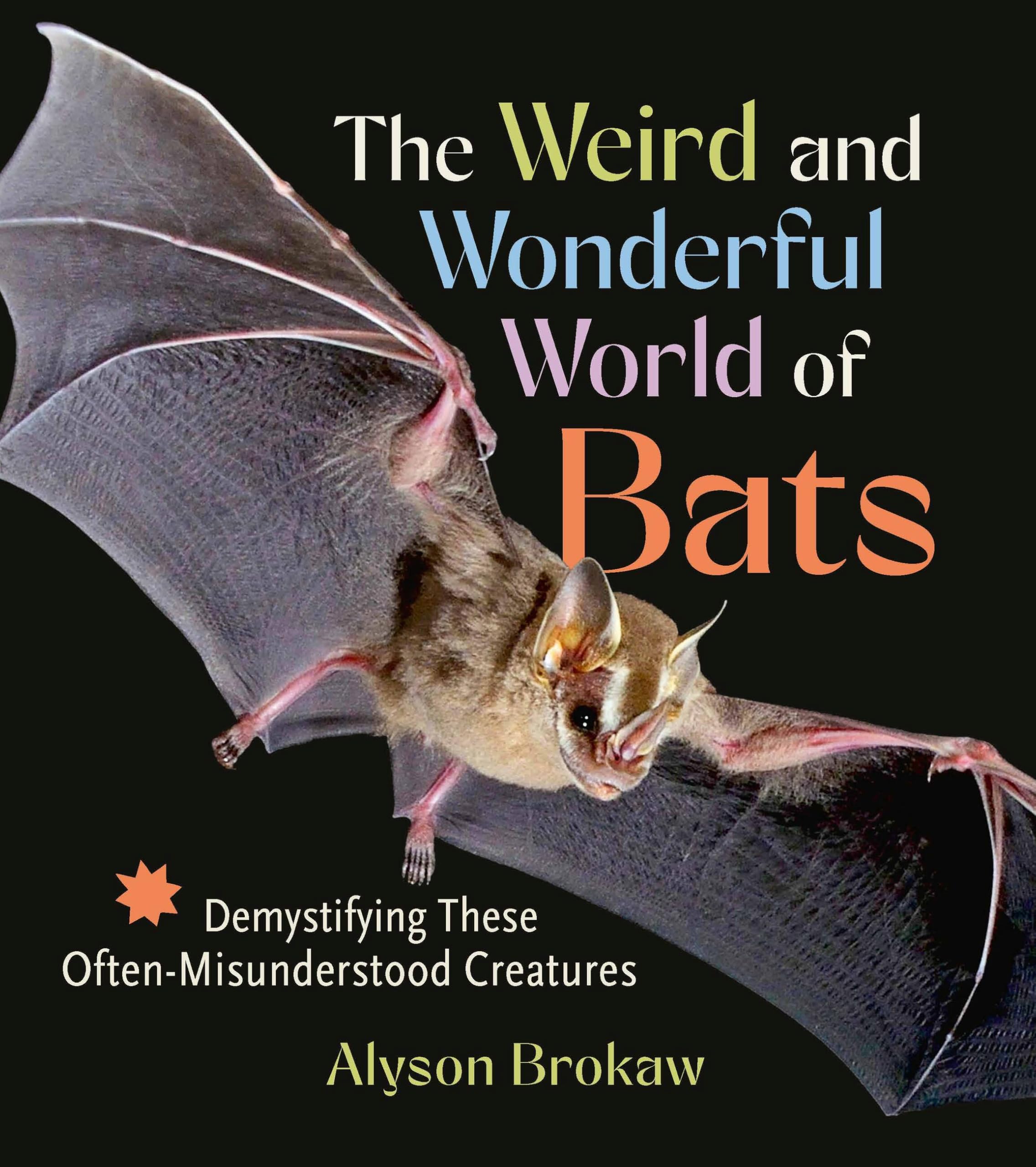The Weird and Wonderful World of Bats: Demystifying These Often ...