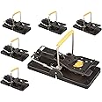 Amazon.com : Bullseye - 6 Pack - Rat Traps - Indoor/Outdoor, Reusable ...