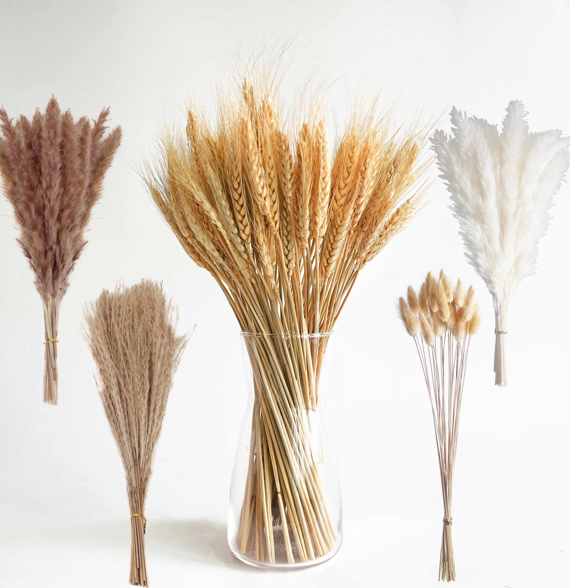 Dried Wheat Stalks and Pampas Grass Decor – 5 Types of Natural Dried ...
