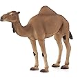 Amazon.com: MOJO Arabian Camel Realistic International Wildlife Toy ...