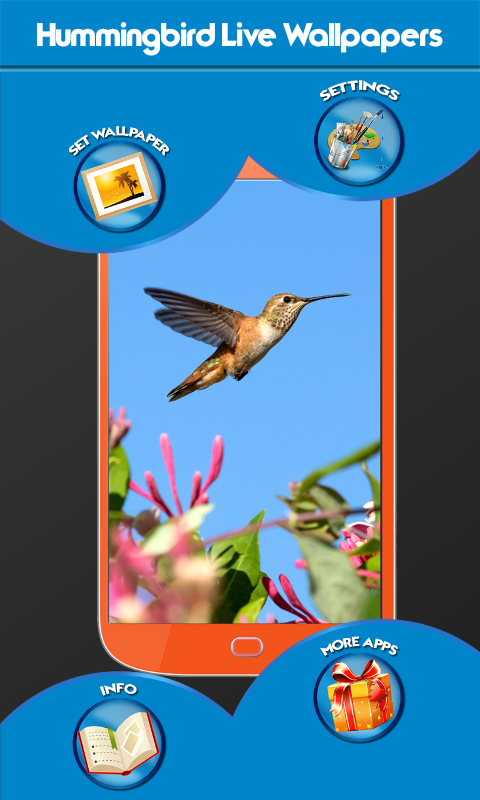 Hummingbird Live Wallpapers:Amazon.com:Appstore for Android