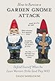 How to Survive a Garden Gnome Attack: Sambuchino, Chuck: 9780091958190 ...