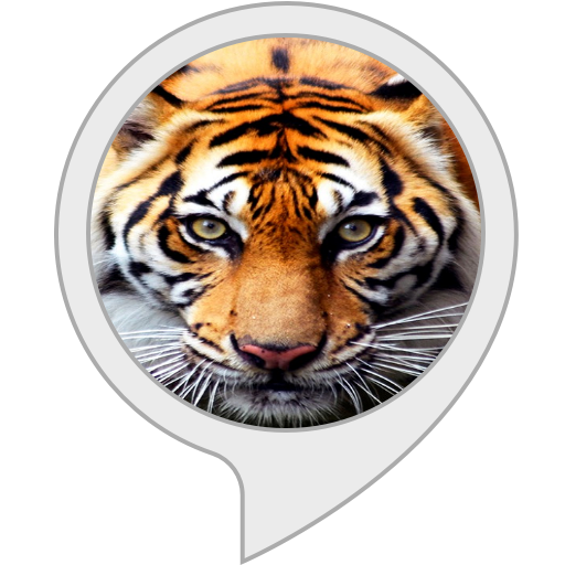 Amazon.com: Kids Dinosaur Facts: Alexa Skills