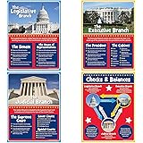 Amazon.com: Quarterhouse Three Branches of US Government: Checks and ...