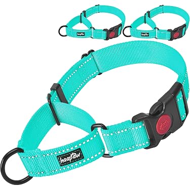 Types Of Martingale Dog Collars