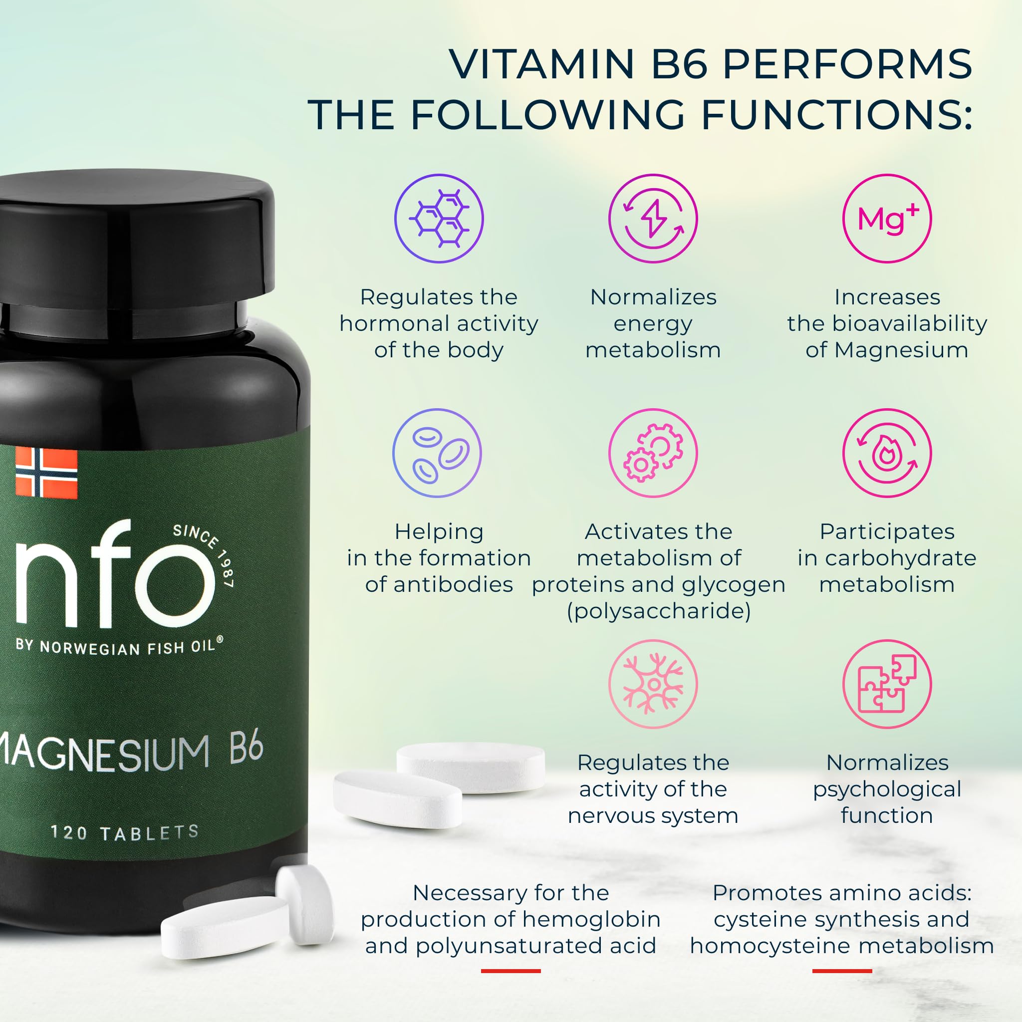Mua NFO Magnesium B6 [120 Tablets] Norwegian Natural Complex with a High Dosage of Magnesium and ...