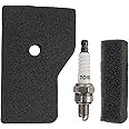 Amazon.com : CARBBIA Maintenance Tune Up Kit Compatible with Honda ...