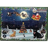 Amazon.ca Hot New Releases: The bestselling new & future releases in ...