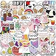 Amazon.com: 50Pcs Friendship Stickers Friend Stickers Best Friend ...