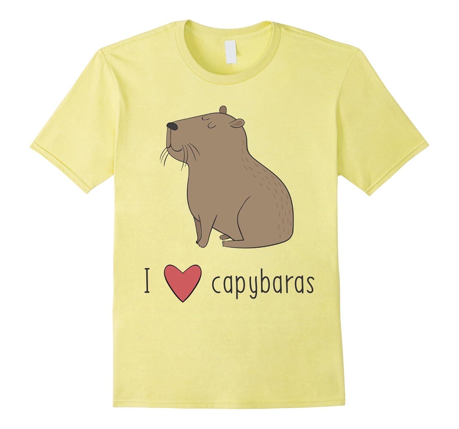 I Love Capybaras Shirt – Cute Capybara Shirt-BN – Banazatee