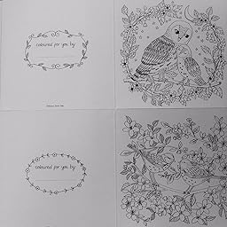 The National Trust: Colouring Book of Cards and Envelopes: Nature ...