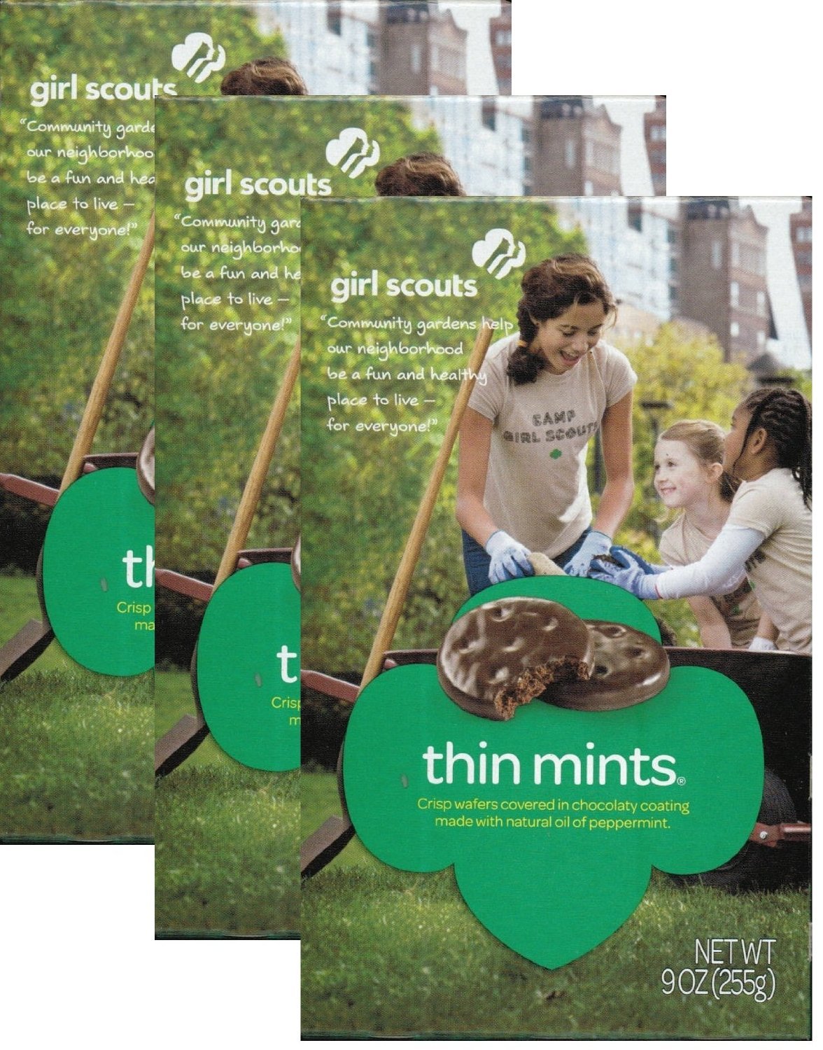 Amazon.com: Girl Scout Tagalongs Cookies (3 Boxes)