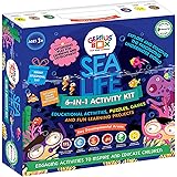 Buy Genius Box 8 in 1 Activity & Learning Kit for Children ...
