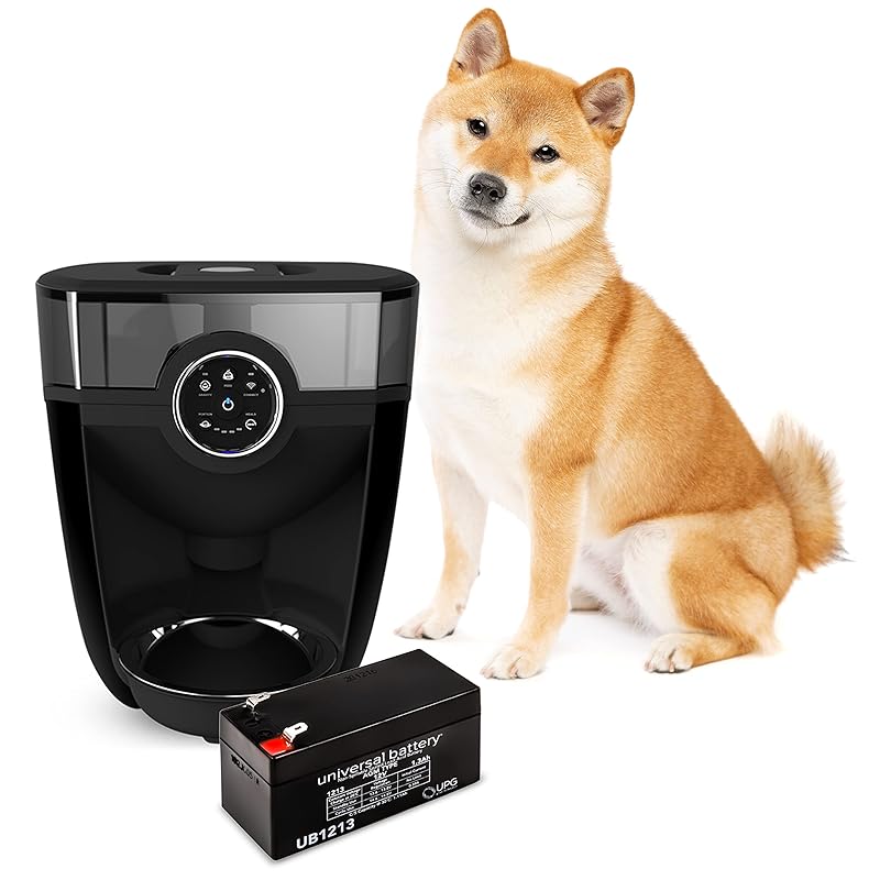 Top 10 Best Automatic Pet Feeder For Dry Or Wet Food - iHomePet