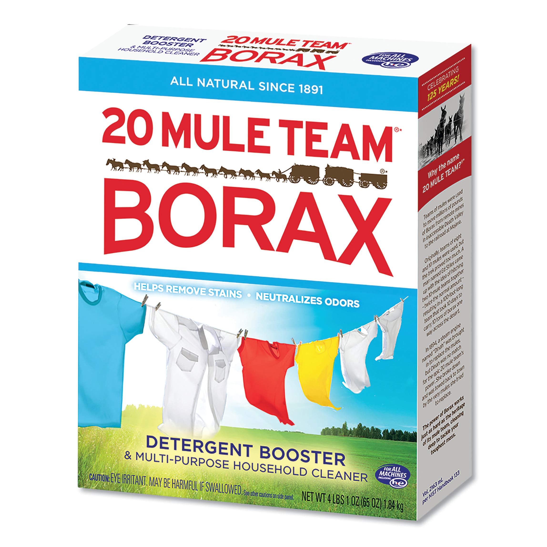 Mua 20 Mule Team Borax Laundry Booster, Powder, 4 Lb Box, 6 Boxes ...